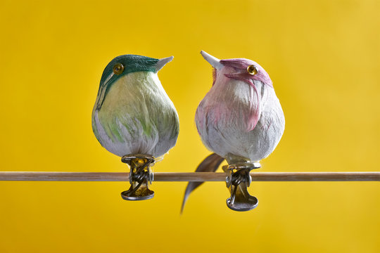 "Fake Bird" Imagens – Procure 31 fotos, vetores e vídeos | Adobe Stock