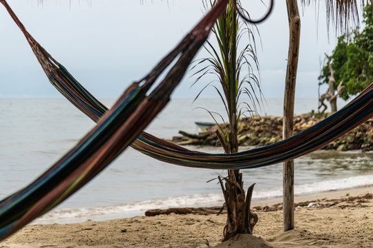 รูปภาพHamok – เลือกดูภาพถ่ายสต็อก เวกเตอร์ และวิดีโอ5 | Adobe Stock