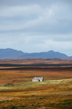 Obrázky Syre – procházejte fotografie, vektory a videa 13 | Adobe Stock