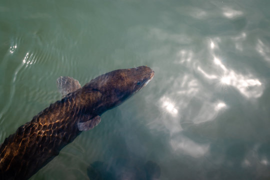 Flussaal Bilder – Durchsuchen 3,877 Archivfotos, Vektorgrafiken und ...