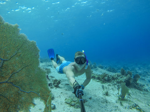 รูปภาพReefscape – เลือกดูภาพถ่ายสต็อก เวกเตอร์ และวิดีโอ1,930 | Adobe Stock