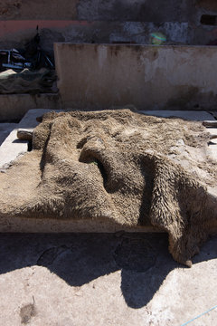 Samak Images – Browse 47 Stock Photos, Vectors, and Video | Adobe Stock