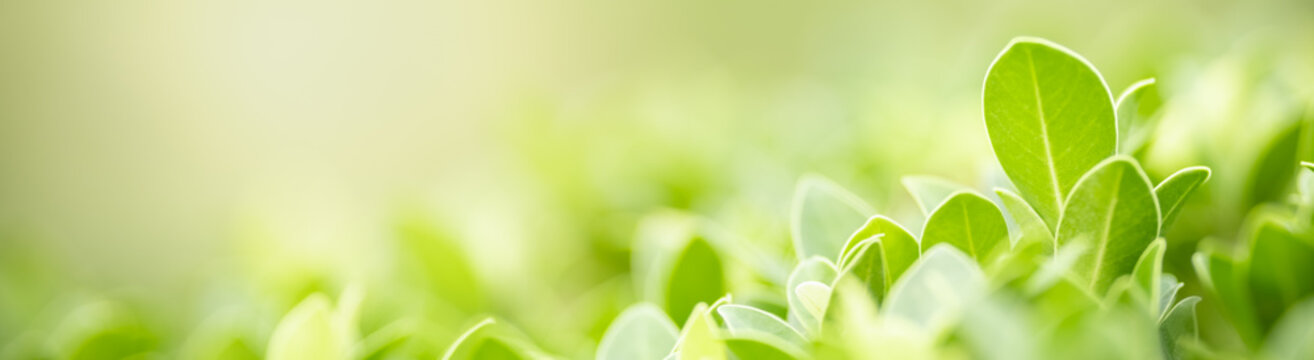 19,035 BEST Cover Page Landscape IMAGES, STOCK PHOTOS & VECTORS | Adobe ...