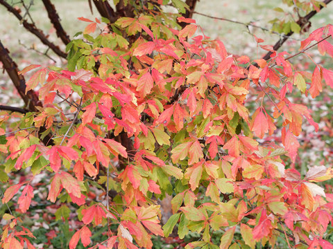 Schichtende Bilder – Durchsuchen 650 Archivfotos, Vektorgrafiken und ...