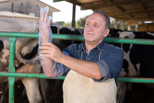 Inseminator Bilder – Durchsuchen 151 Archivfotos, Vektorgrafiken und ...