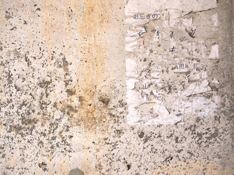 Akemi Kodama photos, images, assets | Adobe Stock