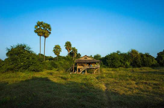 Inwa bilder – Bläddra bland 1,535 stockfoton, vektorer och videor ...