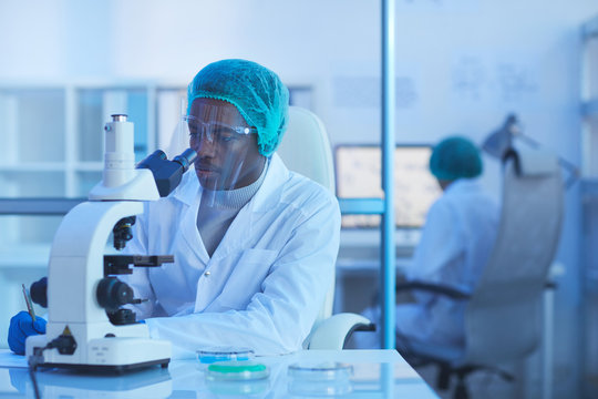 African Laboratory Images – Browse 54,727 Stock Photos, Vectors, and ...