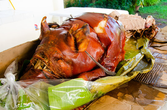 DIE 568 BESTEN BILDER, STOCK-FOTOS UND -VEKTORGRAFIKEN ZU „Lechon ...