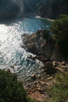 Crique Bilder – Durchsuchen 9,060 Archivfotos, Vektorgrafiken und ...