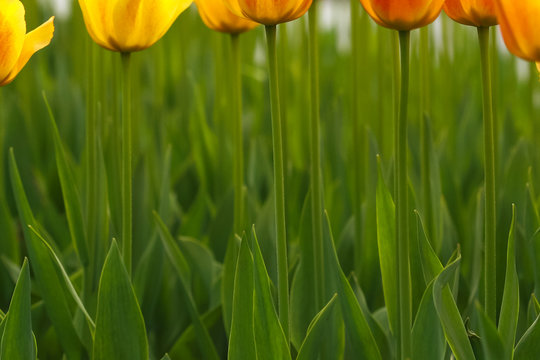 Taldy-Kurgan Bilder – Durchsuchen 1,606 Archivfotos, Vektorgrafiken und ...