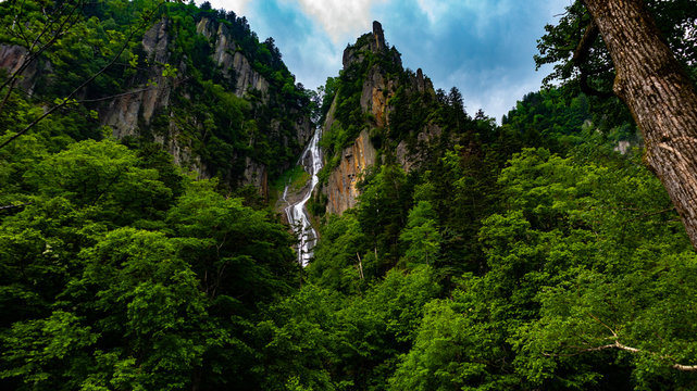 Ginga Bilder – Durchsuchen 150 Archivfotos, Vektorgrafiken und Videos | Adobe Stock