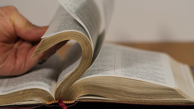 Studying The Bible Images – Browse 78,368 Stock Photos, Vectors, and ...