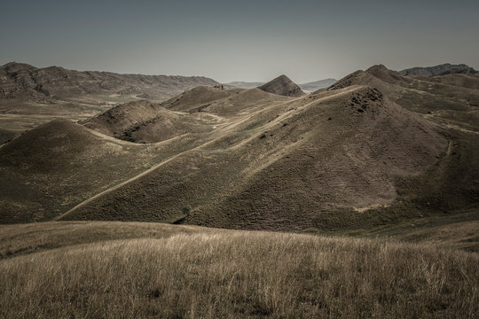 Obrazy (Stepy) — zdjęcia, wektory i wideo bez tantiem (44) | Adobe Stock