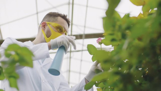 รูปภาพPulverizer – เลือกดูภาพถ่ายสต็อก เวกเตอร์ และวิดีโอ8,029 | Adobe ...