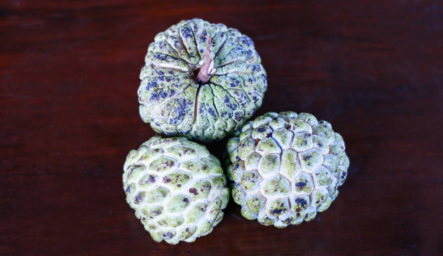 Atis Bilder – Durchsuchen 212 Archivfotos, Vektorgrafiken und Videos ...