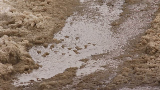 รูปภาพGadoue – เลือกดูภาพถ่ายสต็อก เวกเตอร์ และวิดีโอ116 | Adobe Stock