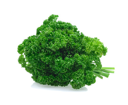 Imágenes de Pasley: descubre bancos de fotos, ilustraciones, vectores y ...