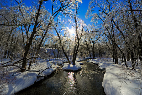 Verglacé - Images et vidéos libres de droits | Adobe Stock