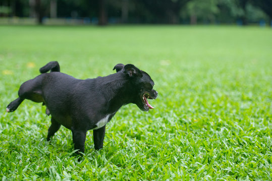 Pinkelpause-Bilder: Stock-Fotos & -Videos. | Adobe Stock