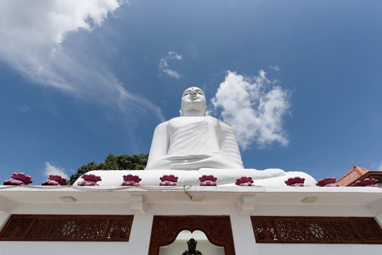 Bahirawa Images – Browse 63 Stock Photos, Vectors, and Video | Adobe Stock