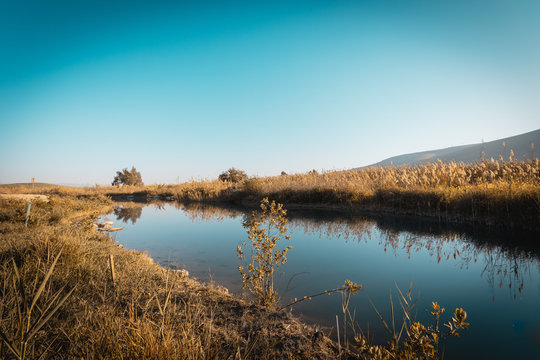 39 BEST Sachne IMAGES, STOCK PHOTOS & VECTORS | Adobe Stock