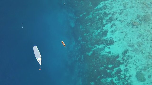 รูปภาพMacan – เลือกดูภาพถ่ายสต็อก เวกเตอร์ และวิดีโอ693 | Adobe Stock