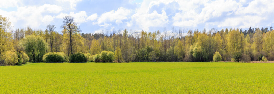 Free Field Images – Browse 24,263 Free Stock Photos, Vectors, and Video ...