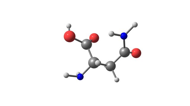 รูปภาพAsparagin – เลือกดูภาพถ่ายสต็อก เวกเตอร์ และวิดีโอ1,490 | Adobe Stock