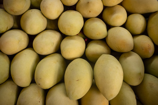 รูปภาพMangga – เลือกดูภาพถ่ายสต็อก เวกเตอร์ และวิดีโอ413 | Adobe Stock