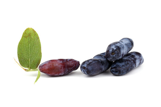 รูปภาพKinnip – เลือกดูภาพถ่ายสต็อก เวกเตอร์ และวิดีโอ3,266 | Adobe Stock