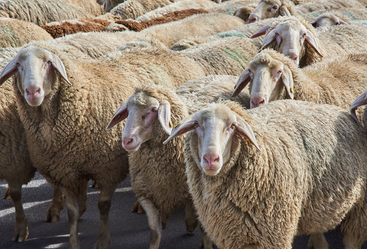 1,896 件の最適な Rammen 画像、ストック写真、ベクター | Adobe Stock