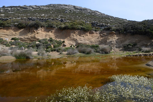 "Cattle Trough" Images – Browse 43 Stock Photos, Vectors, and Video ...
