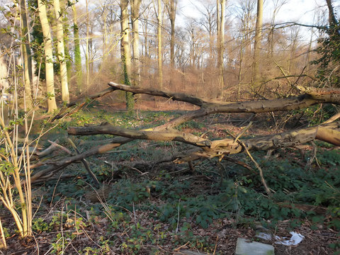 Umfallen bilder – Bläddra bland 899 stockfoton, vektorer och videor ...