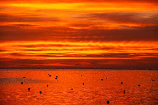 Marsascala Images – Browse 246 Stock Photos, Vectors, and Video | Adobe ...