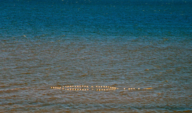 รูปภาพImplorer – เลือกดูภาพถ่ายสต็อก เวกเตอร์ และวิดีโอ162 | Adobe Stock