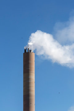 Chamine Images – Browse 40 Stock Photos, Vectors, and Video | Adobe Stock