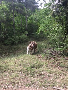 Besandose Images – Browse 147 Stock Photos, Vectors, and Video | Adobe ...