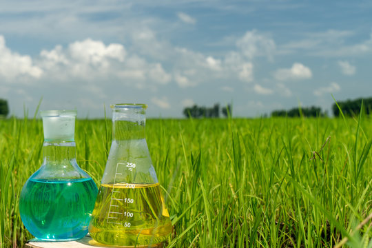 Agrochemistry Bilder – Durchsuchen 980 Archivfotos, Vektorgrafiken und ...