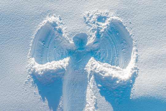 Chaunk bilder – Bläddra bland 8,857 stockfoton, vektorer och videor ...