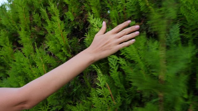 Run Over Images – Browse 76,602 Stock Photos, Vectors, and Video ...