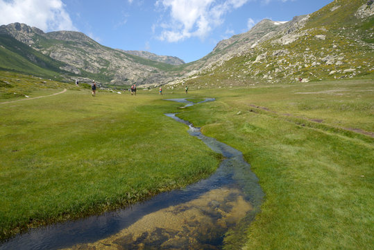 รูปภาพPozzines – เลือกดูภาพถ่ายสต็อก เวกเตอร์ และวิดีโอ169 | Adobe Stock