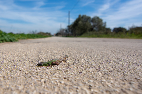 รูปภาพCraches – เลือกดูภาพถ่ายสต็อก เวกเตอร์ และวิดีโอ1,817 | Adobe Stock