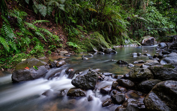 Bachstein Bilder – Durchsuchen 435,177 Archivfotos, Vektorgrafiken und ...