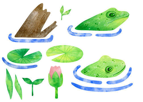 Hoptoad Bilder – Durchsuchen 591 Archivfotos, Vektorgrafiken und Videos ...