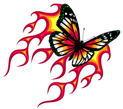 "Fire Butterfly" Images – Browse 44 Stock Photos, Vectors, and Video ...