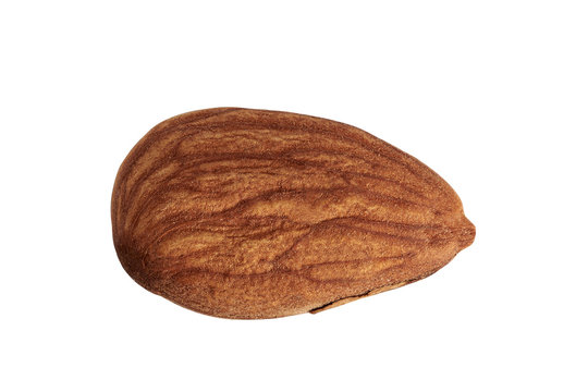 Mandelkern Bilder – Durchsuchen 1,203 Archivfotos, Vektorgrafiken und ...