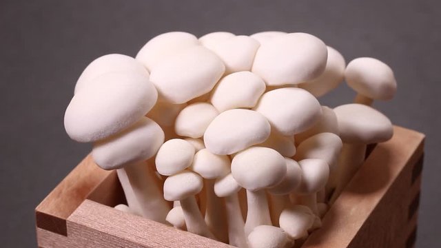 白ぶなしめじ Images – Browse 99 Stock Photos, Vectors, and Video | Adobe Stock