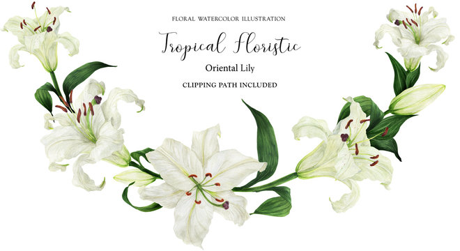 13,976 BEST Lily Border IMAGES, STOCK PHOTOS & VECTORS | Adobe Stock