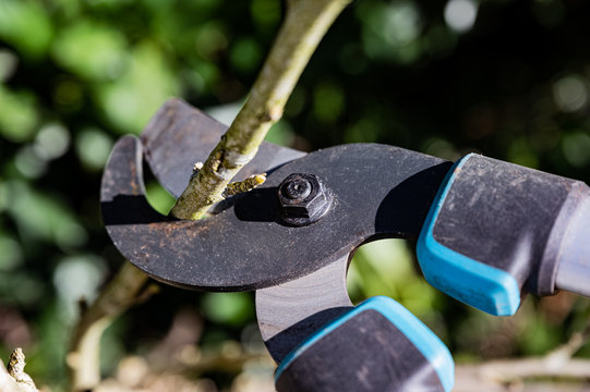 Abscheren Bilder – Durchsuchen 327 Archivfotos, Vektorgrafiken und ...